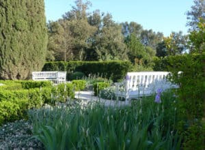 Cultivons notre jardin ! | Jardins du Roi Soleil