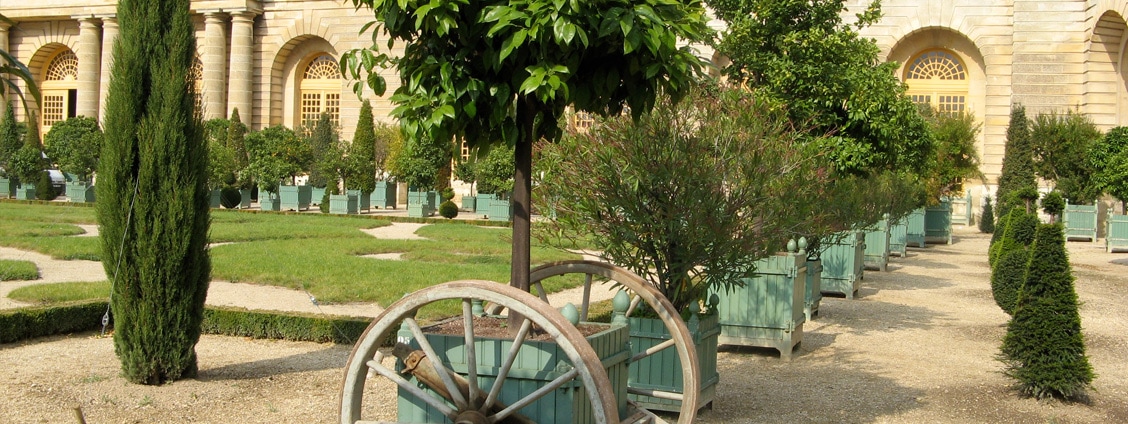 Cultivons notre jardin ! | Jardins du Roi Soleil