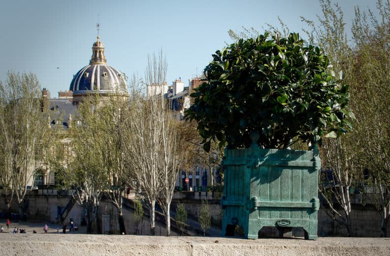 Jardins Du Roi Soleil | Orange tree planters from Château de Versailles