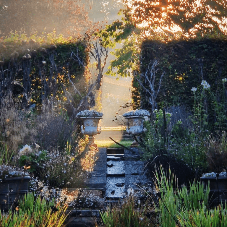 Jardins Du Roi Soleil | Orange tree planters from Château de Versailles